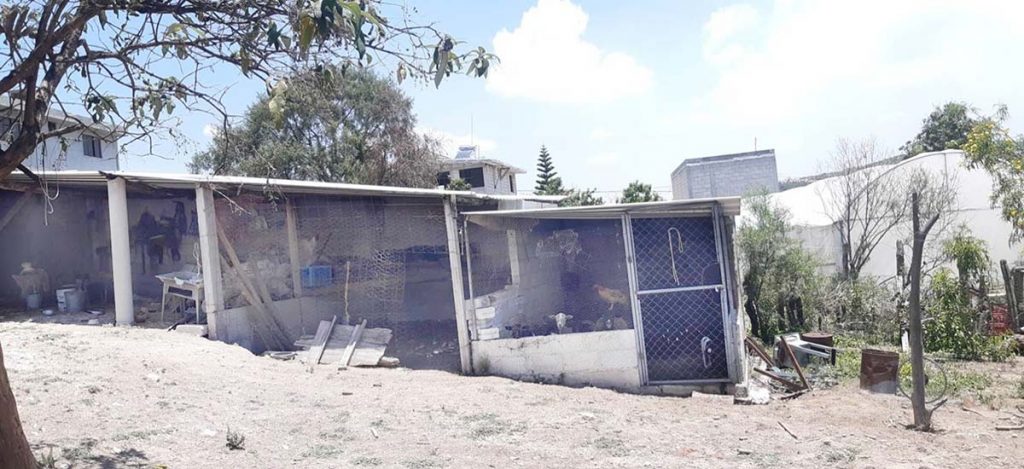 Ecotecnias en traspatio para un desarrollo digno ante el cambio climático